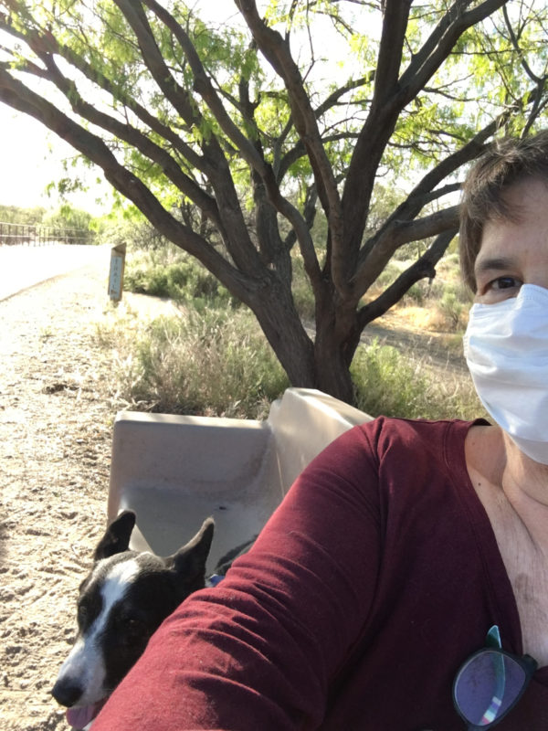 Links of Interest - Oakheart by Liz Danforth